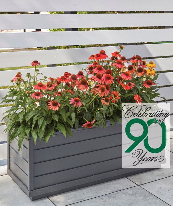 Custom Pergolas, Arbors, Gates, AZEK Fence | Walpole Outdoors | Walpole ...